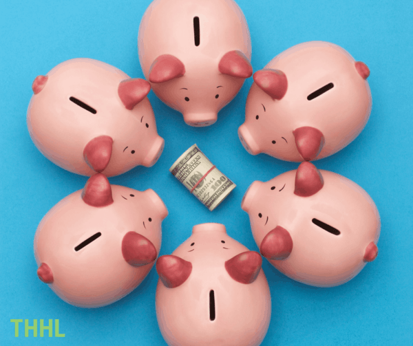 3 Must-Do Tips to Set Savings Goals for 2019 - The Happy Home Life