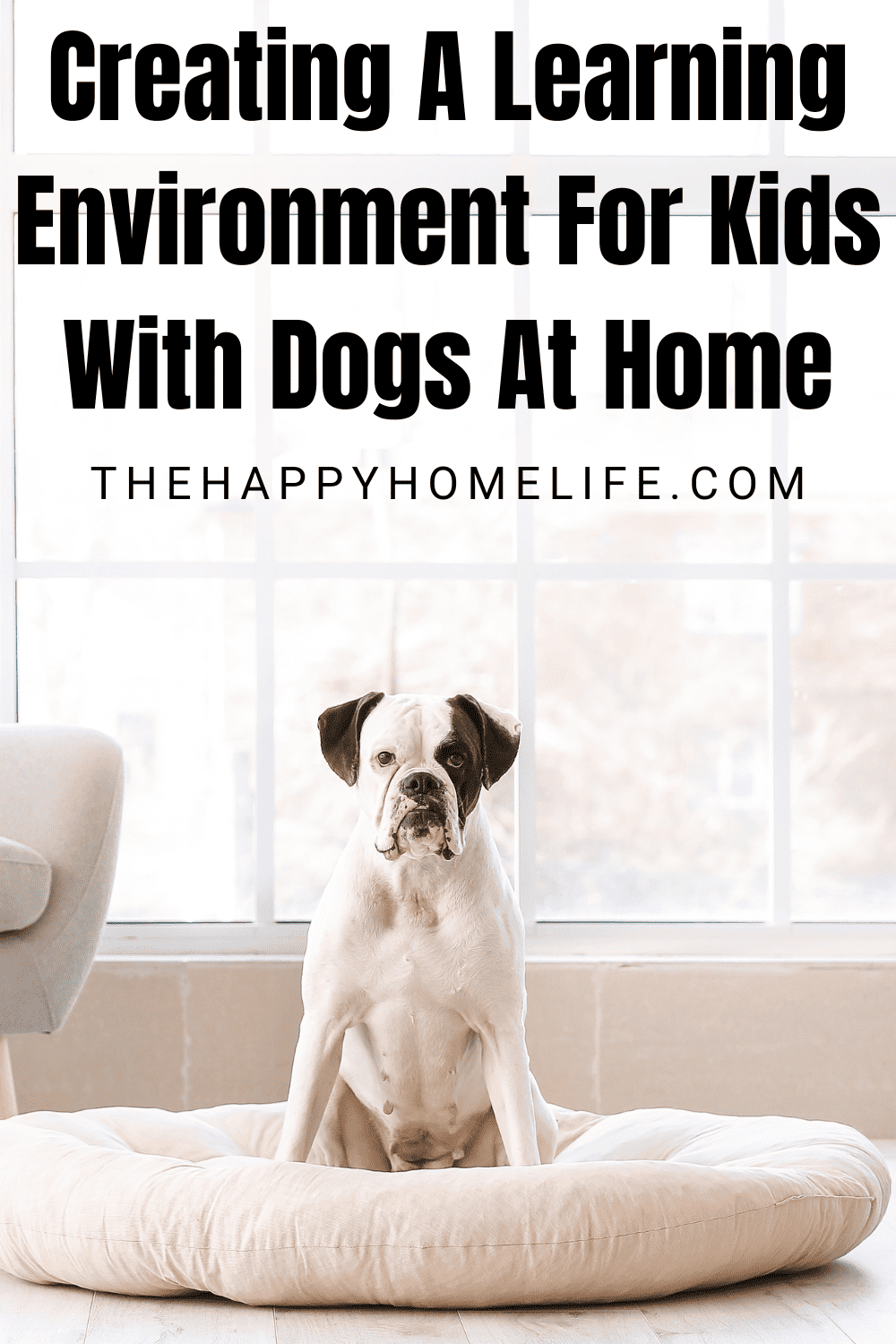 Creating A Learning Environment For Kids With Dogs At Home - The Happy ...
