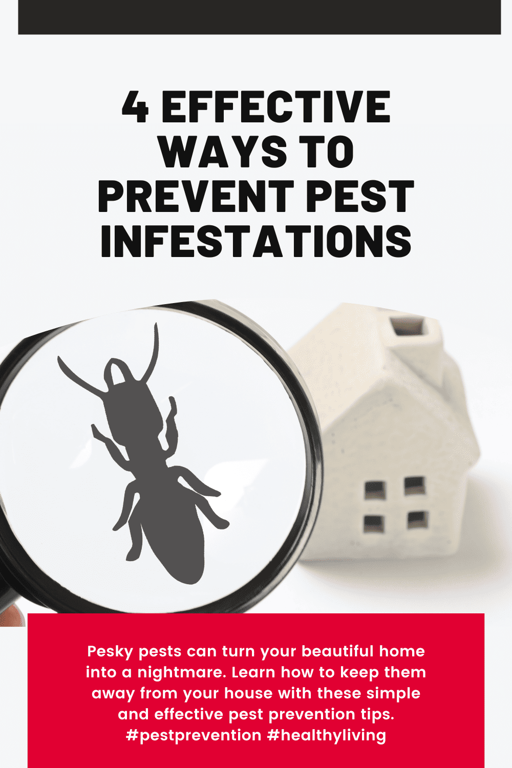 4 Effective Ways To Prevent Pest Infestations - The Happy Home Life