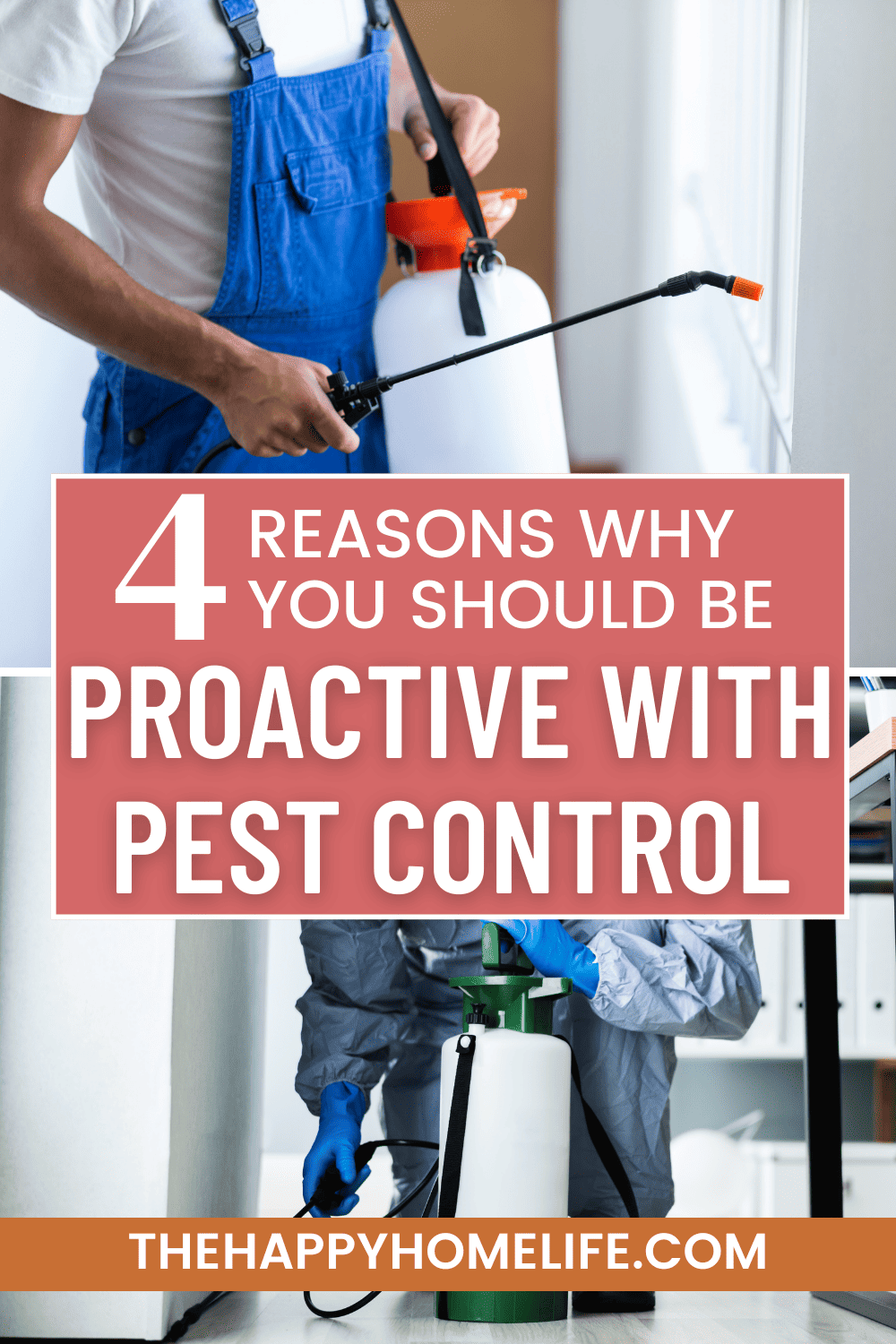 You Should Be Proactive with Pest Control, and Here’s Why - The Happy ...