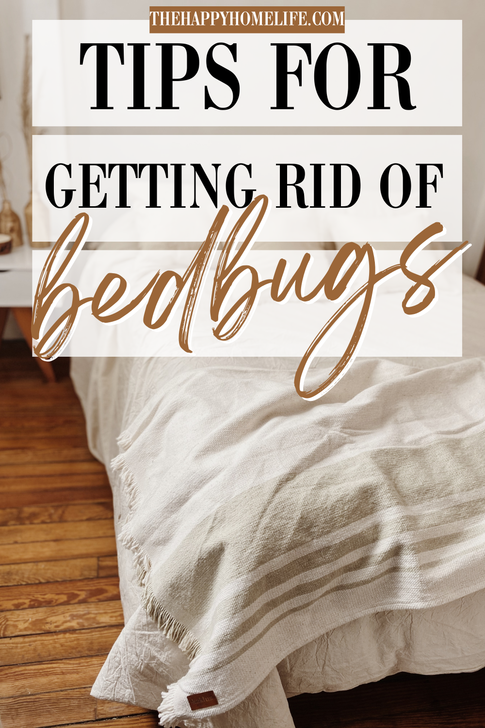 4 Ways to Identify Bed Bug Stains and Treat Them Efficiently